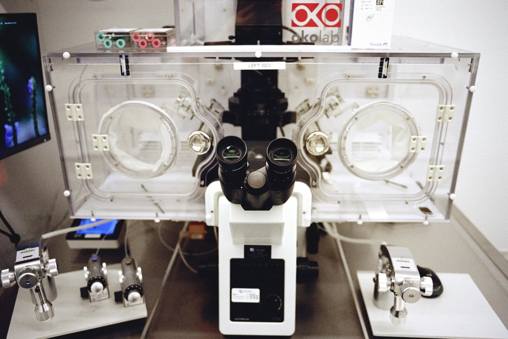 Your Boss Will Freeze Your Eggs Now - londonivfcentre